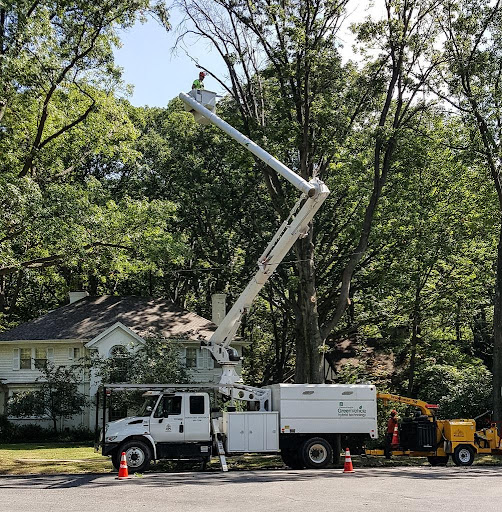 2023 Tree Care Workers’ Complete Guide to Machines and Equipment for ...